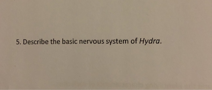 Solved 5. Describe the basic nervous system of Hydra. | Chegg.com
