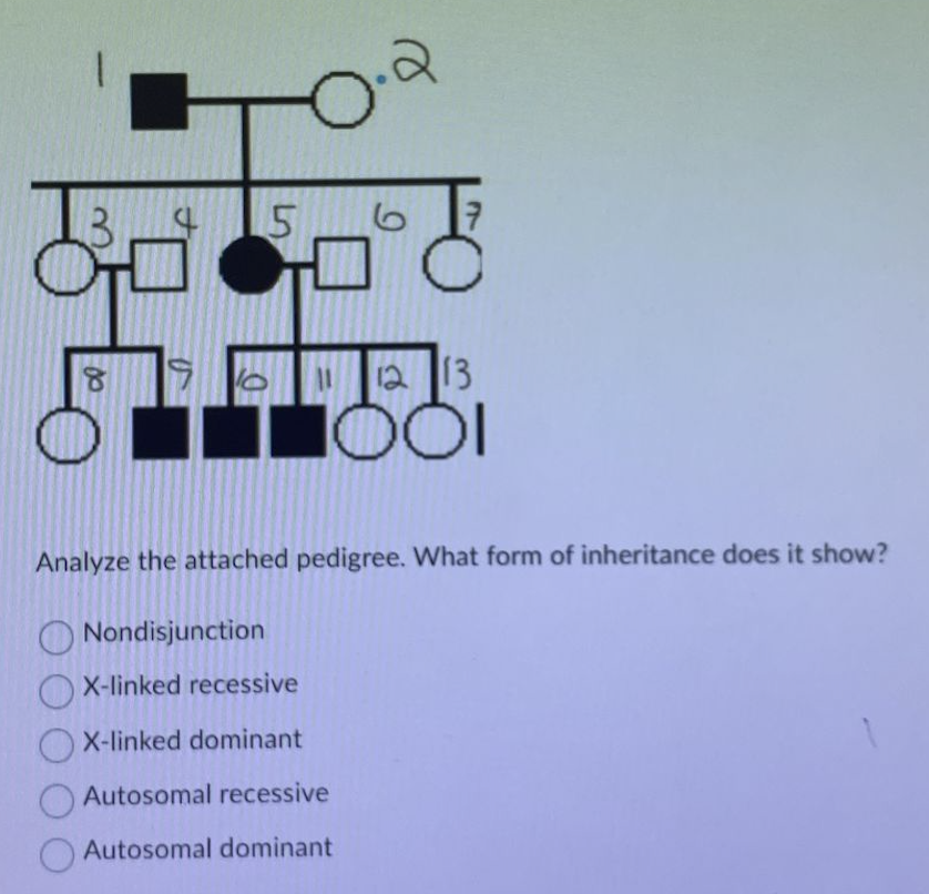 Analyze the attached pedigree. What form of | Chegg.com