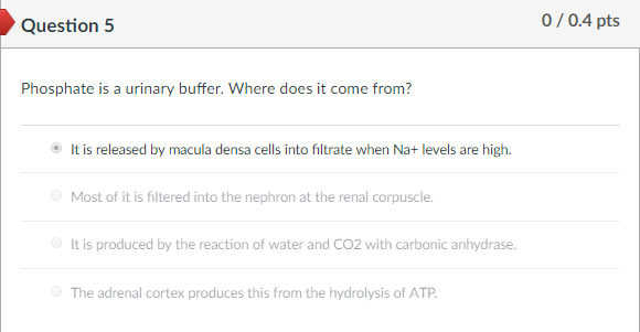 Solved Question 5 0/0.4 pts Phosphate is a urinary buffer. | Chegg.com