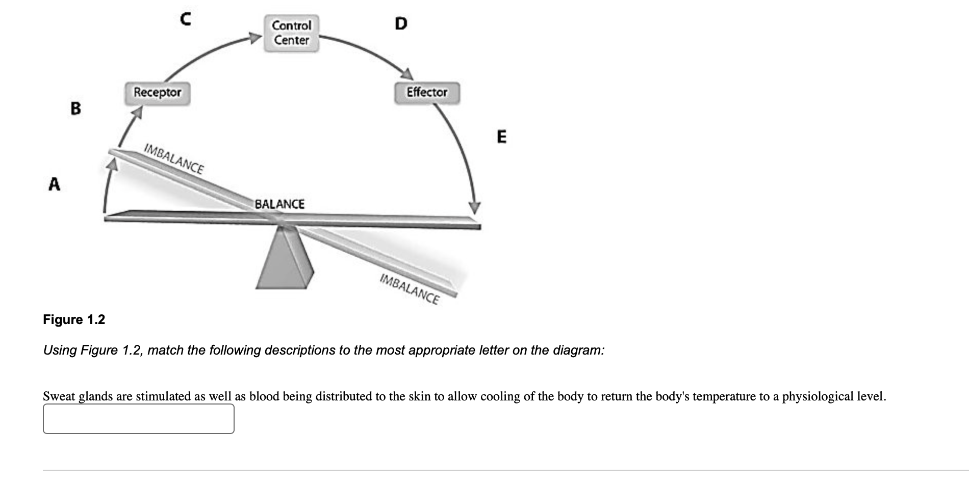 Solved Using Figure 1.2, match the following descriptions to | Chegg.com