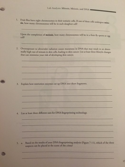 Solved Lab Analysis: Mitosis, Meiosis, and DNA . Fruit fies | Chegg.com