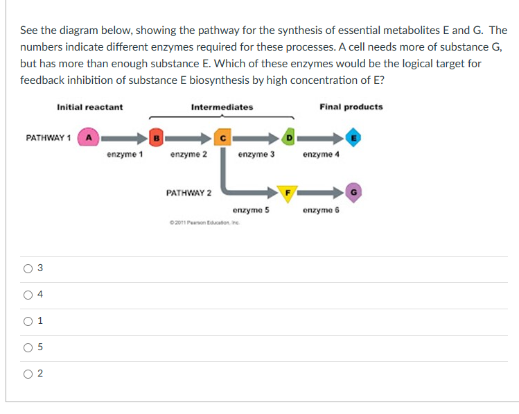 Solved See the diagram below, showing the pathway for the | Chegg.com