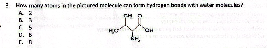 How many atoms in the pictured molecule can form | Chegg.com