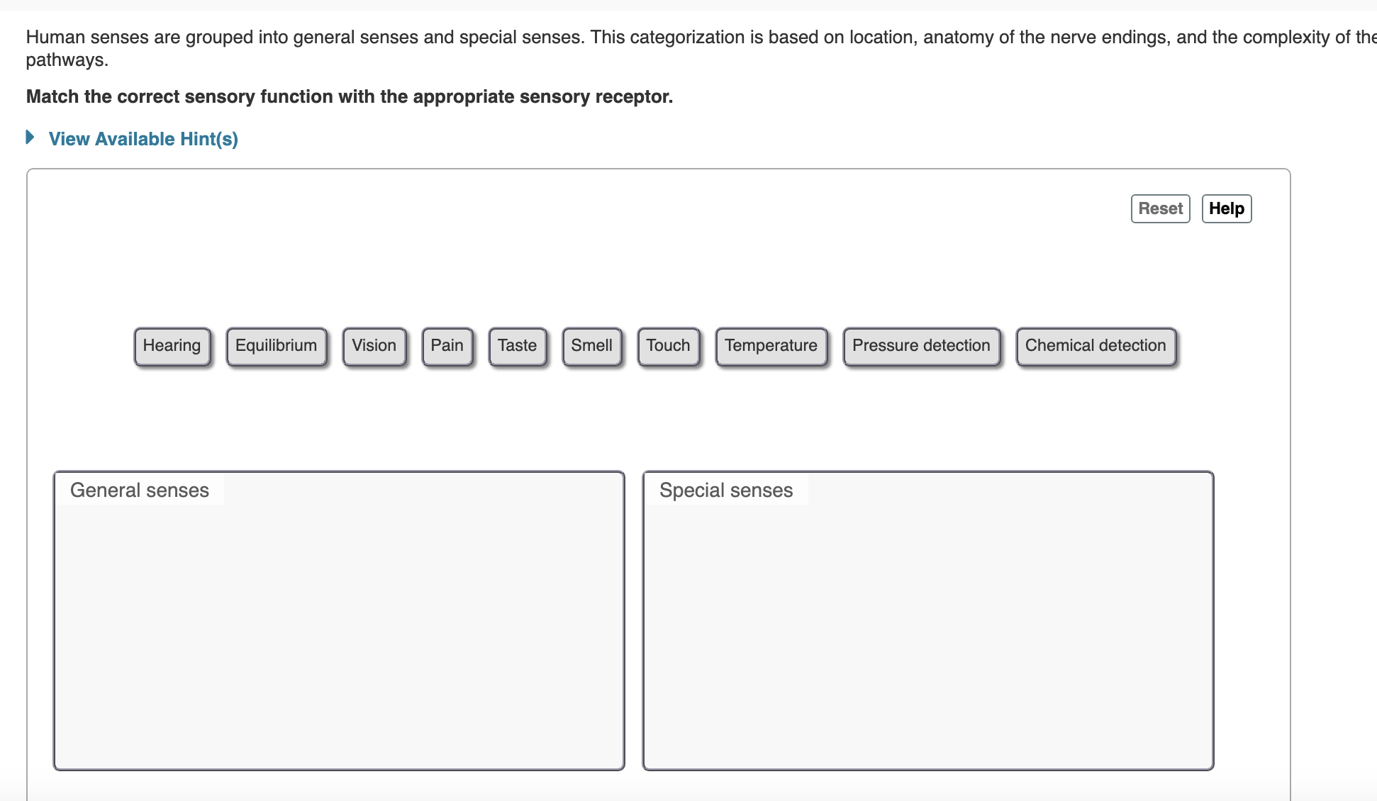 Solved Human senses are grouped into general senses and | Chegg.com