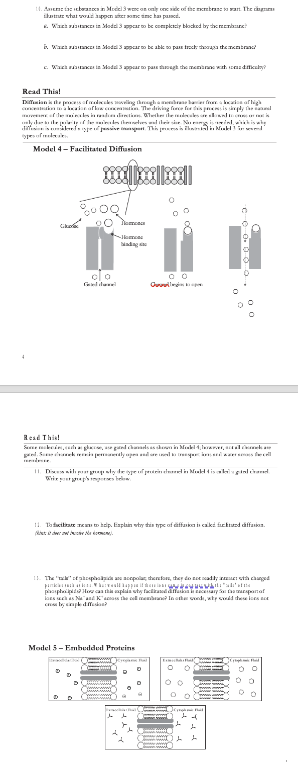Solved The Selectively Permeable Cell Membrane How do | Chegg.com