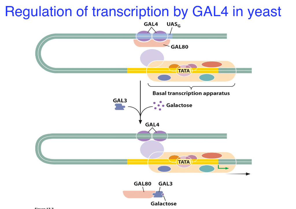 Solved Predict the effect of each of the following on | Chegg.com