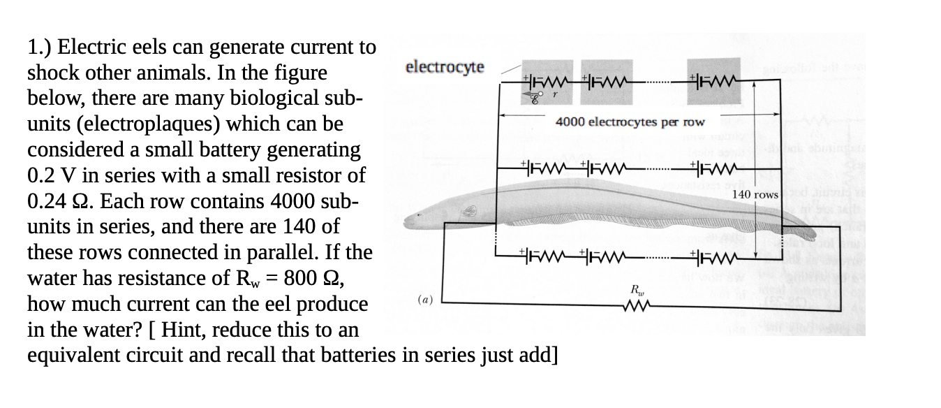 Solved a 140 rows 1.) Electric eels can generate current to | Chegg.com