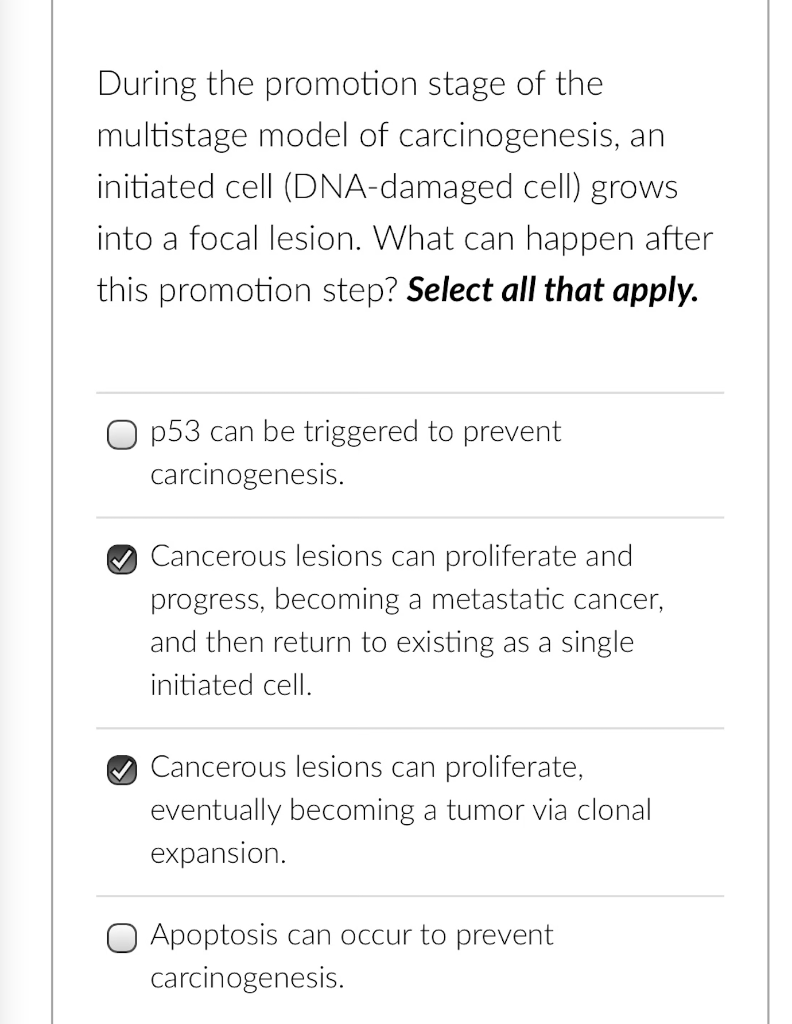 Solved During the promotion stage of the multistage model of | Chegg.com