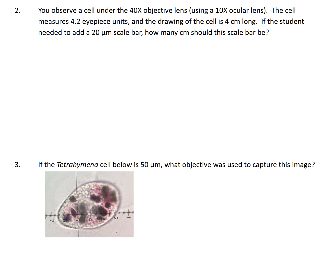 Solved 2. You observe a cell under the 40X objective lens | Chegg.com