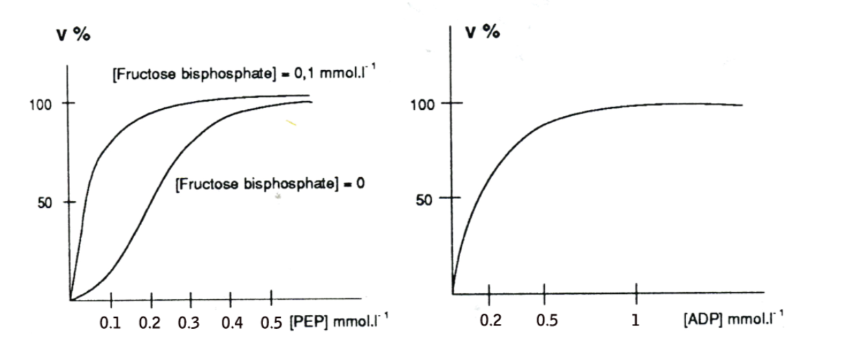Pyruvate kinase is an allosteric enzyme that reacts | Chegg.com