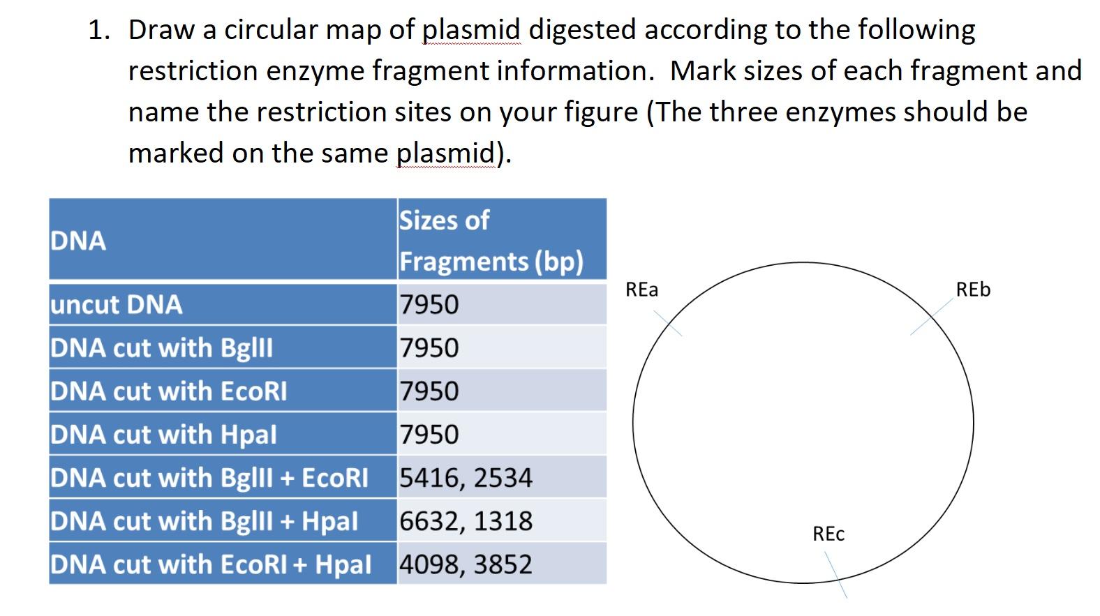 Solved 1. Draw a circular map of plasmid digested according | Chegg.com