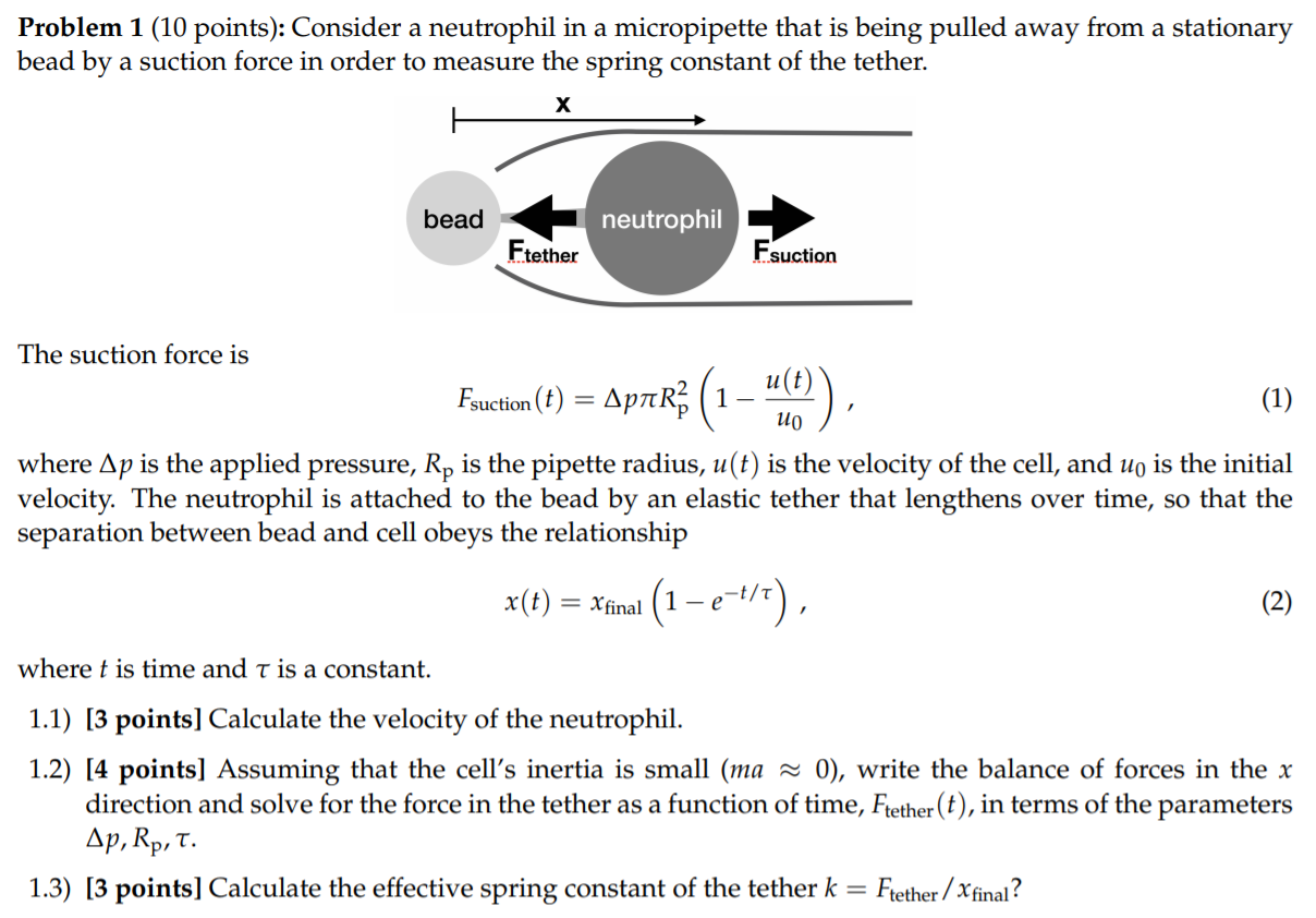 Solved Problem 1 (10 points): Consider a neutrophil in a | Chegg.com