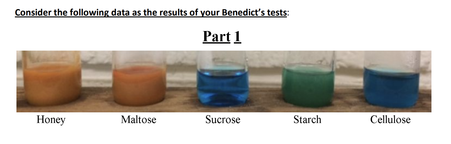 Solved From the results obtained in part 1 of the Benedict’s | Chegg.com