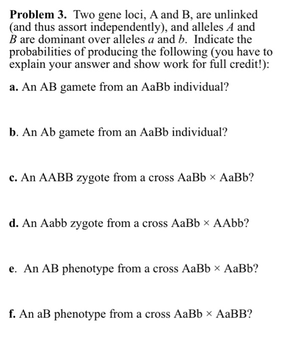 Solved Two gene loci, A and B, are unlinked (and thus assort | Chegg.com