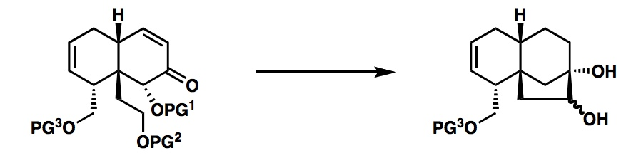 Solved provide: PG1 and PG2 and PG3 (protecting groups), the | Chegg.com