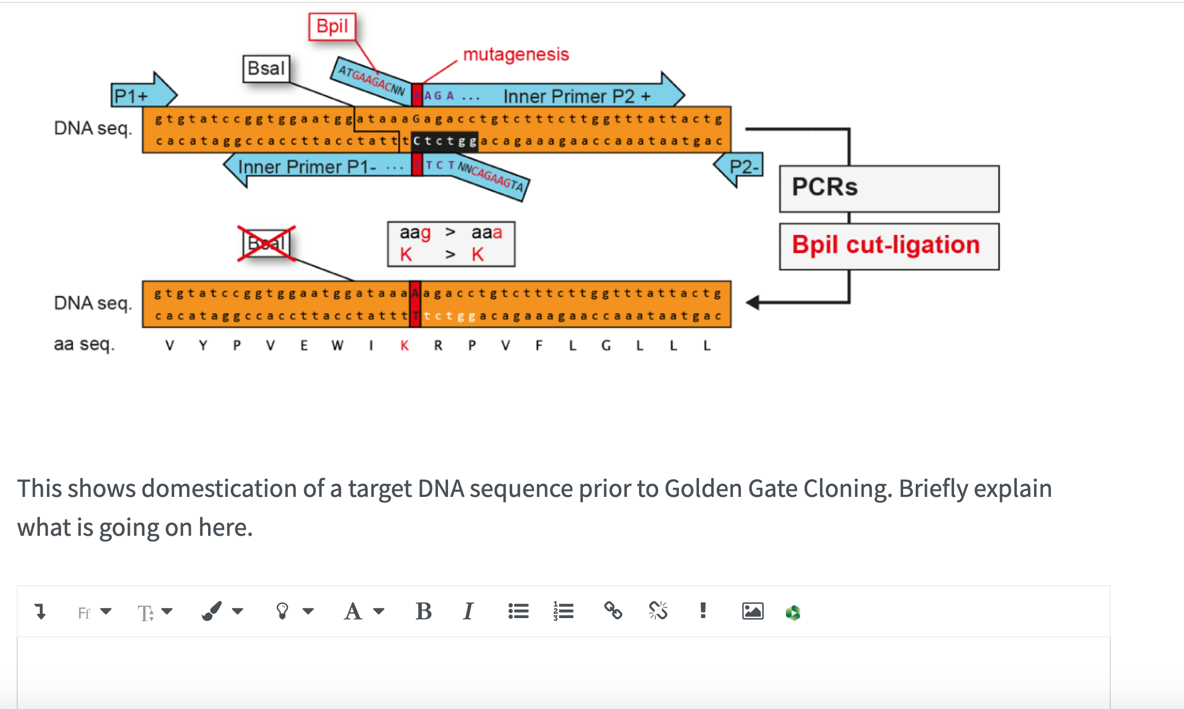 Solved This shows domestication of a target DNA sequence | Chegg.com