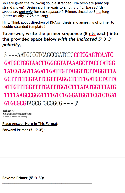 Solved You are given the following double-stranded DNA | Chegg.com