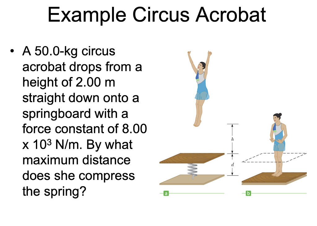 Solved Example Circus Acrobat A 50.0-kg circus acrobat drops | Chegg.com