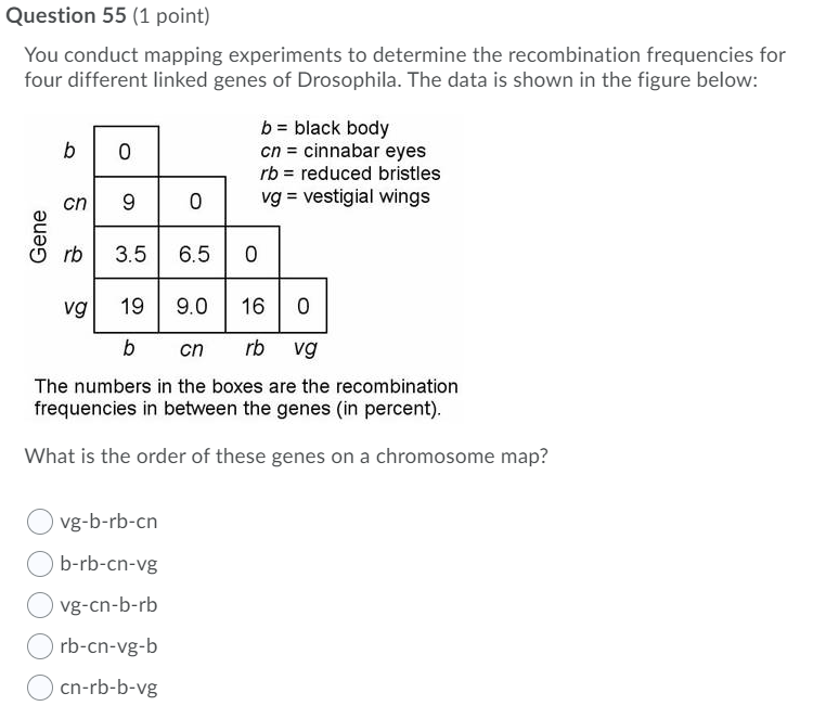 Solved Question 55 (1 point) You conduct mapping experiments | Chegg.com