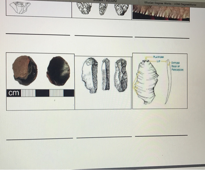 Solved Section 2: Flake types/tools There are a number of | Chegg.com