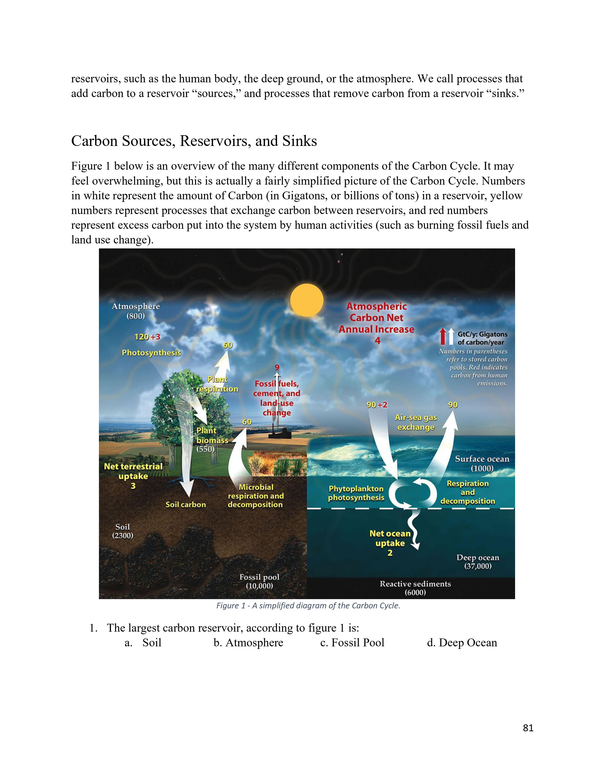 Investigation 6 - The Earth System Part2: The Carbon | Chegg.com