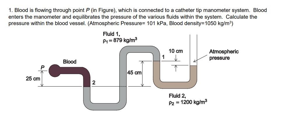 Solved 1. Blood is flowing through point P (in Figure), | Chegg.com