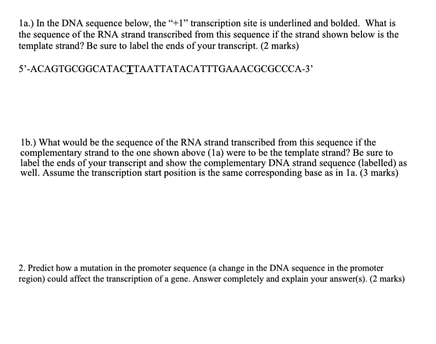 Solved 1a.) ﻿In the DNA sequence below, the "+1" | Chegg.com
