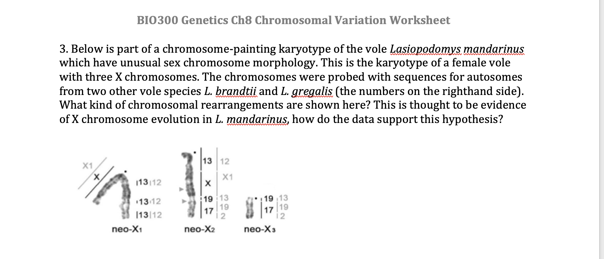 Solved BI0300 Genetics Ch8 Chromosomal Variation Worksheet | Chegg.com