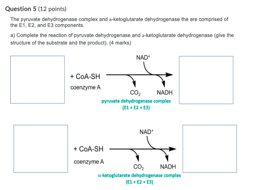 Solved Question 5 (12 points) The pyruvate dehydrogenase | Chegg.com