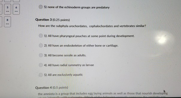 Solved ) 5) none of the echinoderm groups are predatory | Chegg.com