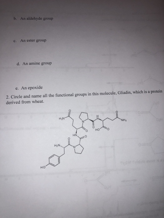 Solved Functional group review 1. Draw any organic molecule | Chegg.com