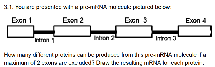 Solved 3.1. You are presented with a pre-mRNA molecule | Chegg.com