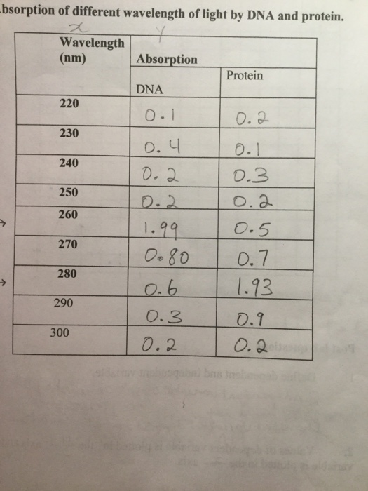 Solved bsorption of different wavelength of light by DNA and | Chegg.com