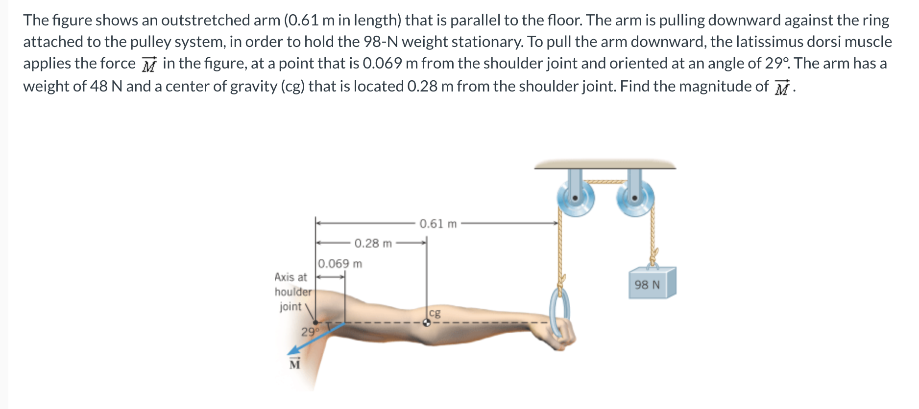 Solved The figure shows an outstretched arm (0.61 m ﻿in | Chegg.com