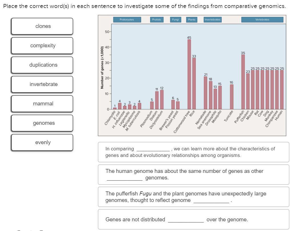 Solved Place the correct word(s) in each sentence to | Chegg.com