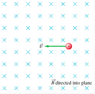 Solved For each of the situations below, a charged particle | Chegg.com