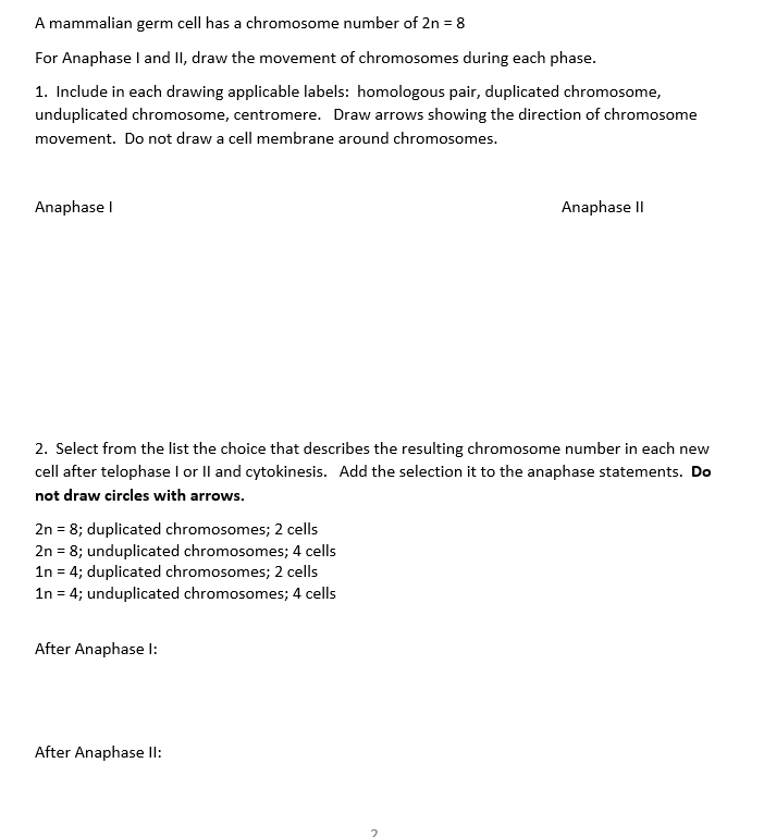 A mammalian germ cell has a chromosome number of 2n=8 | Chegg.com