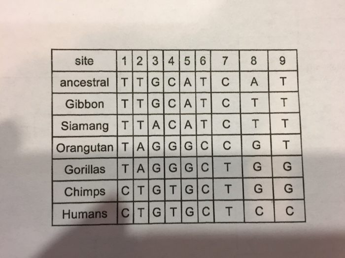 Solved Determine the best tree using parsimony method on the | Chegg.com