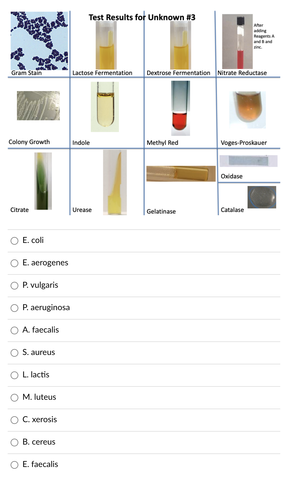 Solved Test Results for Unknown #3 After adding Reagents A | Chegg.com