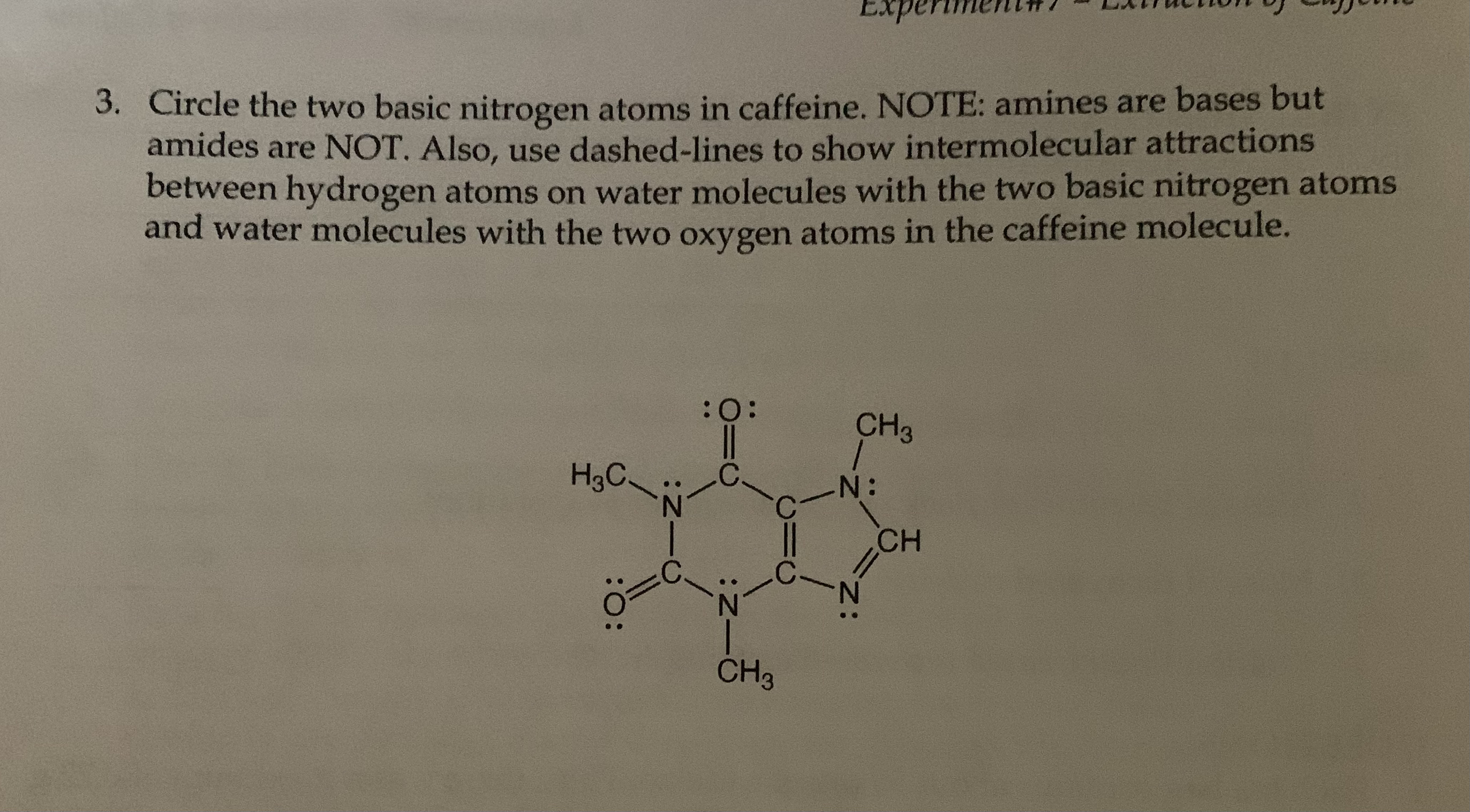 Solved 3. Circle the two basic nitrogen atoms in caffeine. | Chegg.com