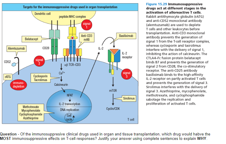 Solved Basiliximab IL-2 Figure 15.29 Immunosuppressive drugs | Chegg.com