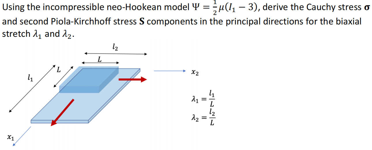 Solved Using the incompressible neo-Hookean model Y = žu(11 | Chegg.com