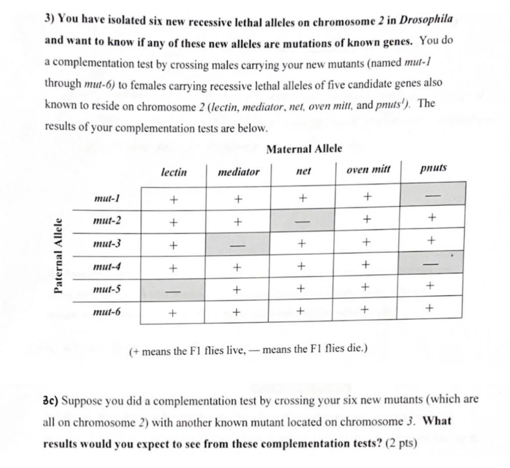 Solved 3) You have isolated six new recessive lethal alleles | Chegg.com