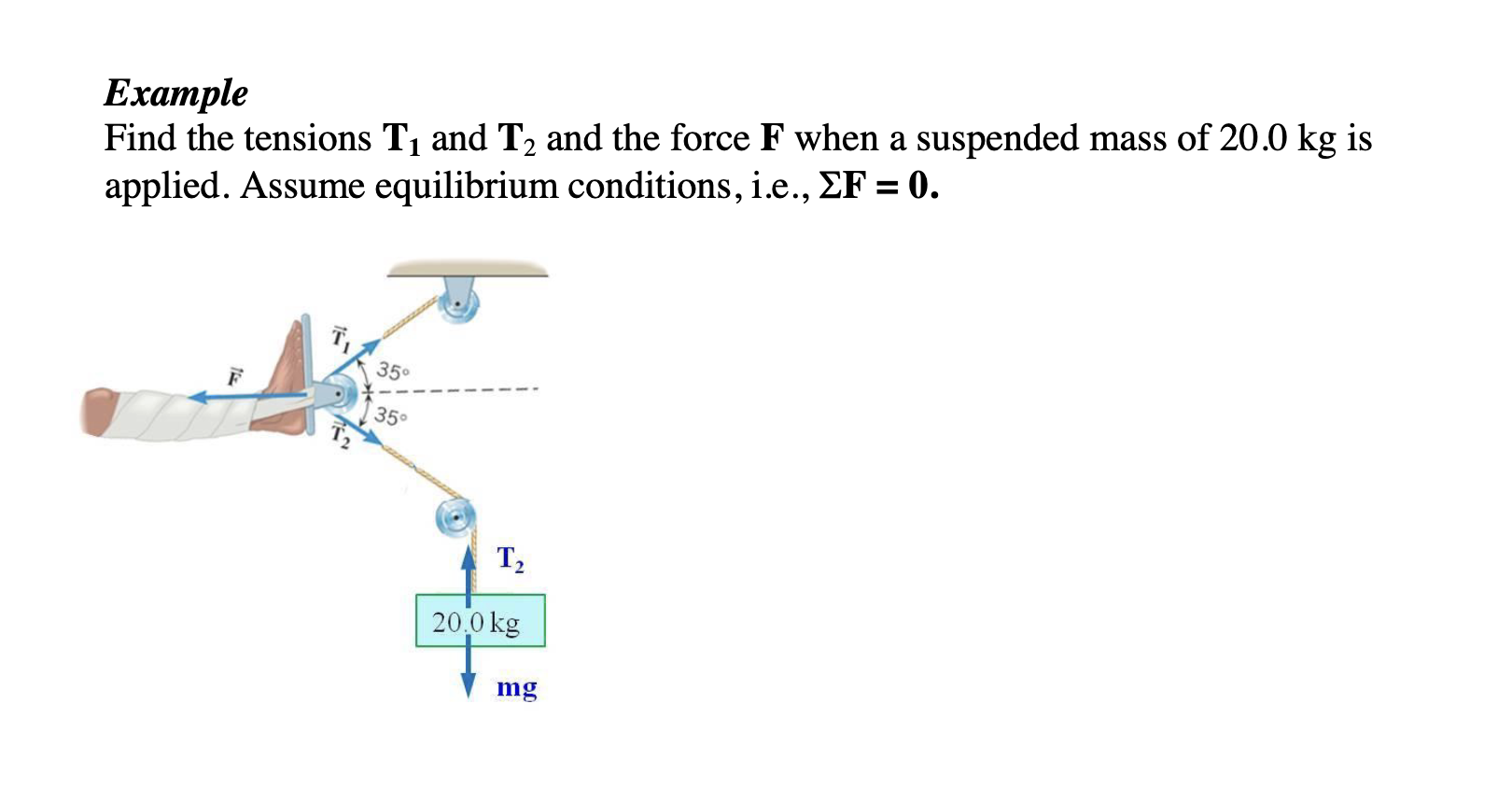 Solved ExampleFind the tensions T1 ﻿and T2 ﻿and the force F | Chegg.com