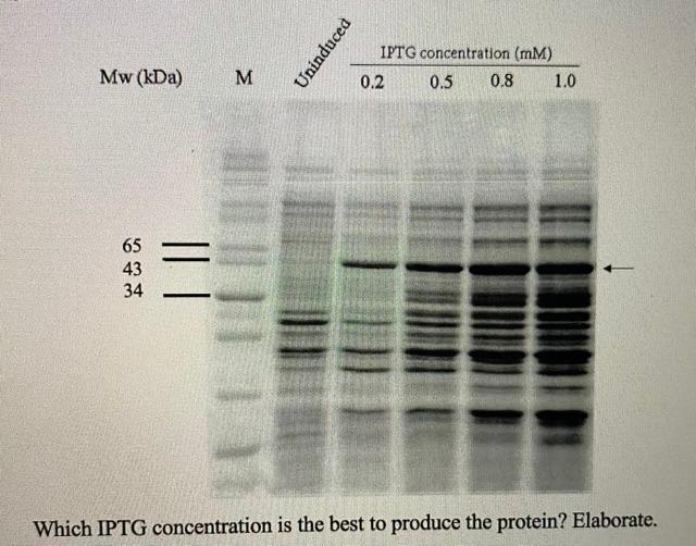 Solved Mw(kDa)M \[ \begin{array}{llll} | Chegg.com