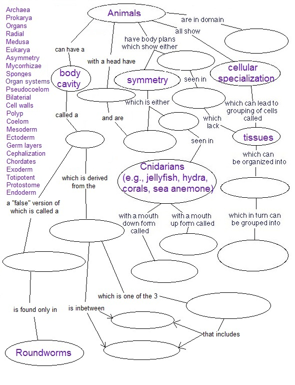 Solved Biology 1002 chapter 24-25. Use the words from the | Chegg.com