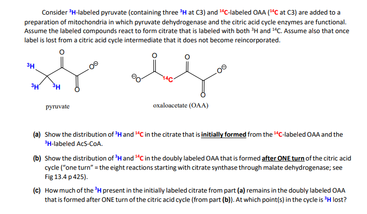 Solved Consider 3H-labeled pyruvate (containing three 3H at | Chegg.com