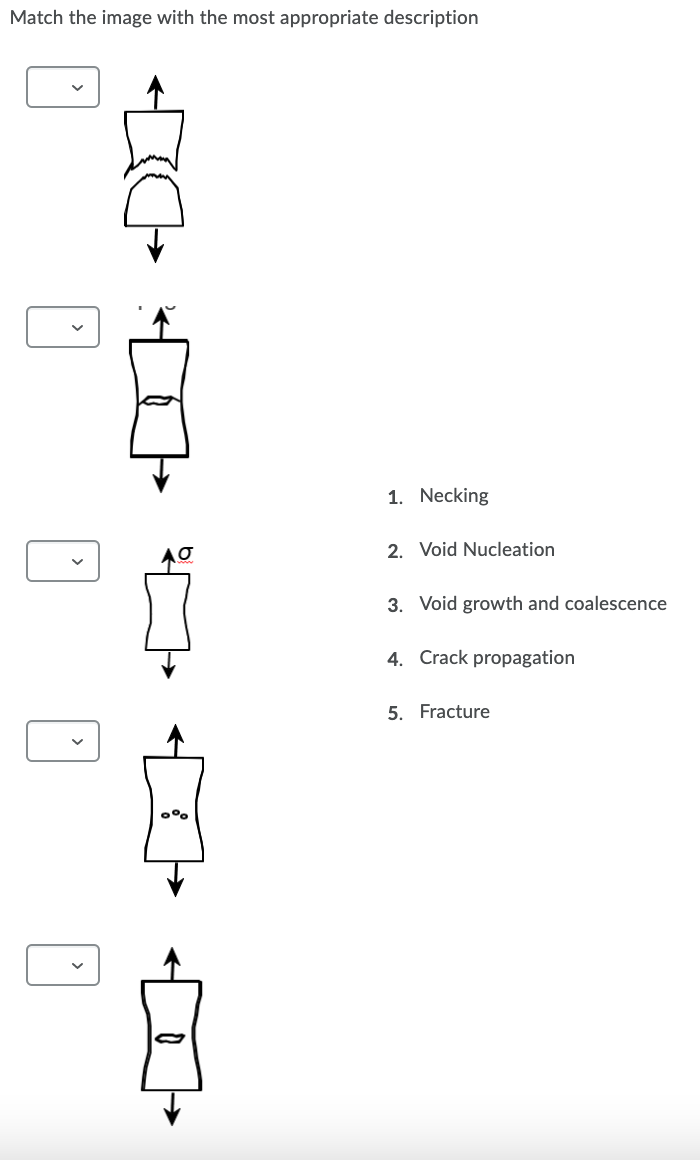 Solved Match the image with the most appropriate description | Chegg.com