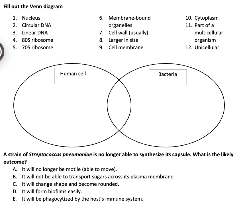 Solved Fill out the Venn diagram 1. Nucleus 2. Circular DNA | Chegg.com