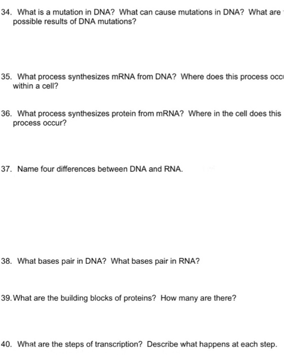 Solved 34. What is a mutation in DNA? What can cause | Chegg.com